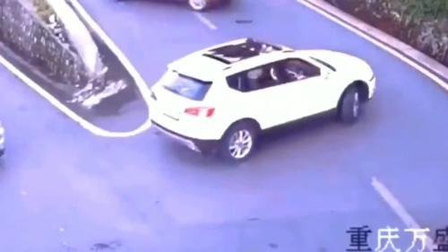 转弯让直行是交通常识,交警判定白车全责非常正确,不要再说你没责任了