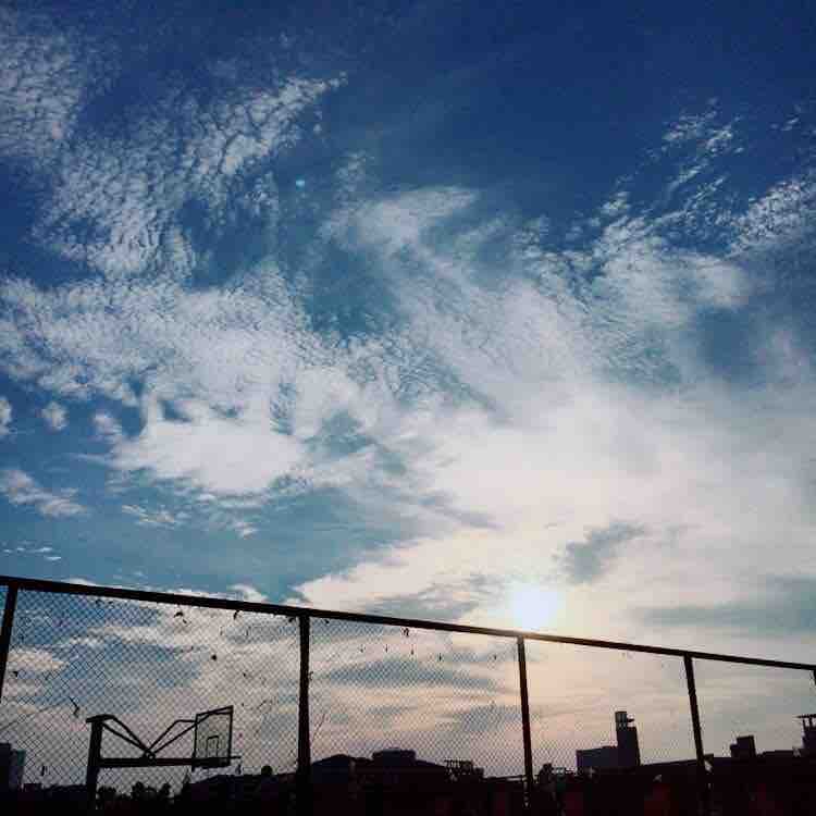 向着光亮那方Alan 