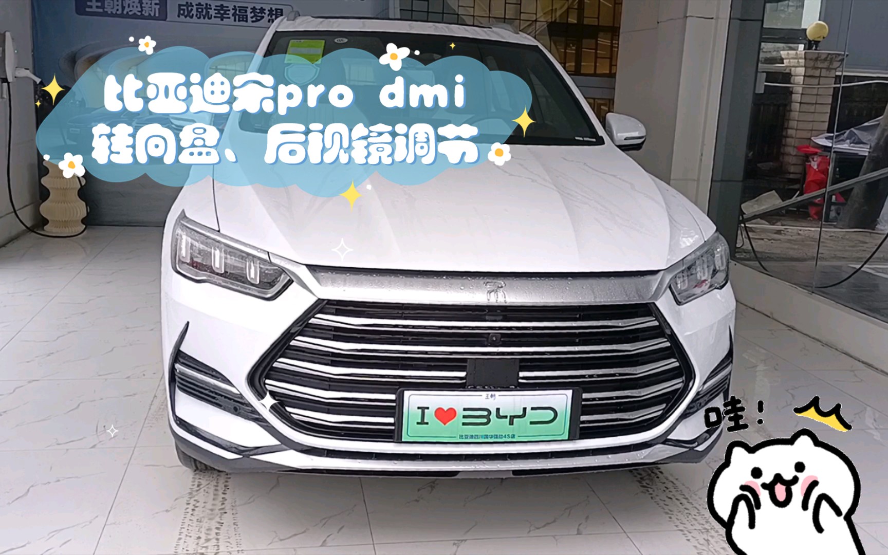 2023新年第一更,比亚迪宋pro dmi转向盘、后视镜调节