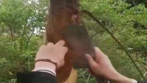 在我们这农村,有一种可以吃的树皮