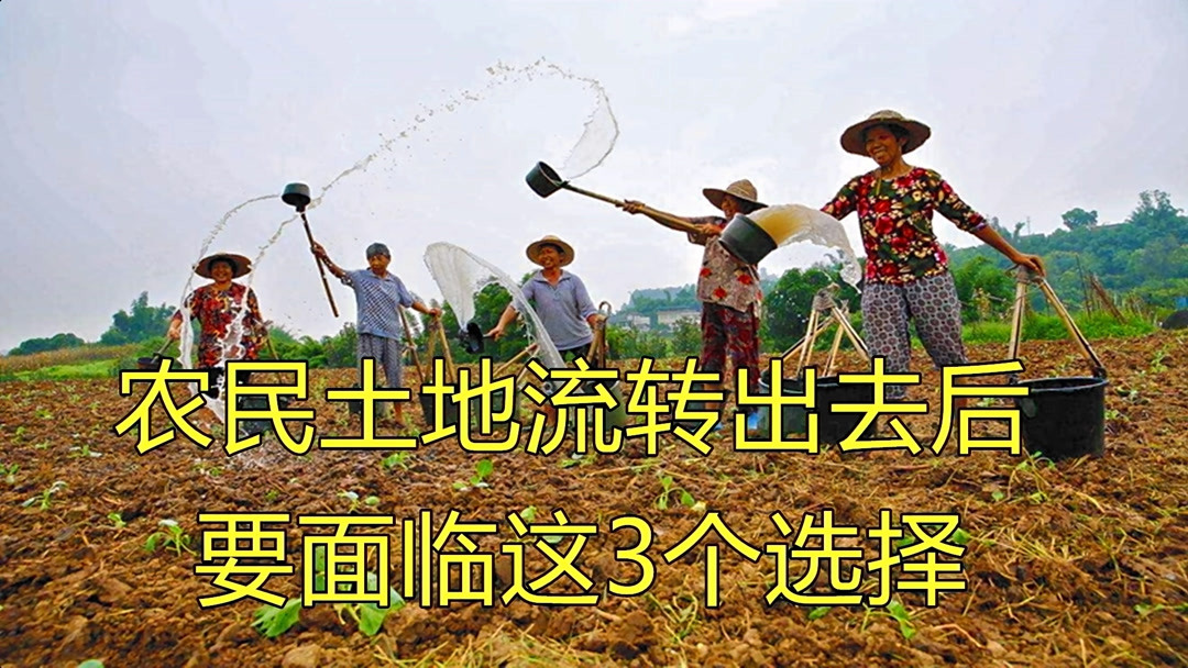 未来在农村,农民土地流转出去后,要面临这3个选择,你咋选?