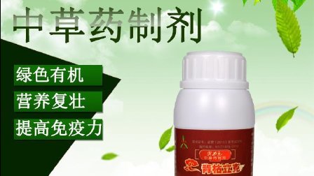 杨梅枯萎病浙江台州园区, 怎么管理的?