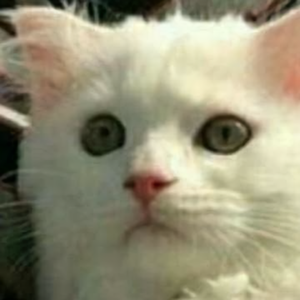 用户3913902637191359 