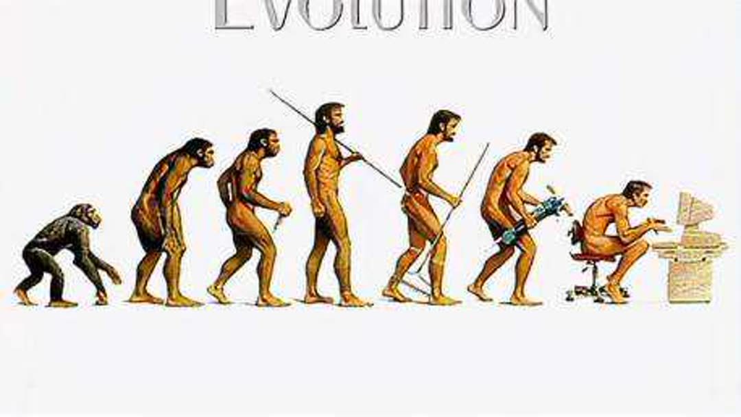 3分钟科普人类进化历程