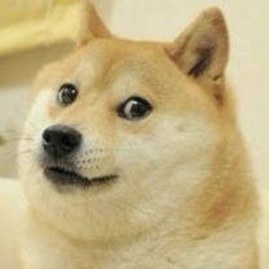 奶茶加点汤 