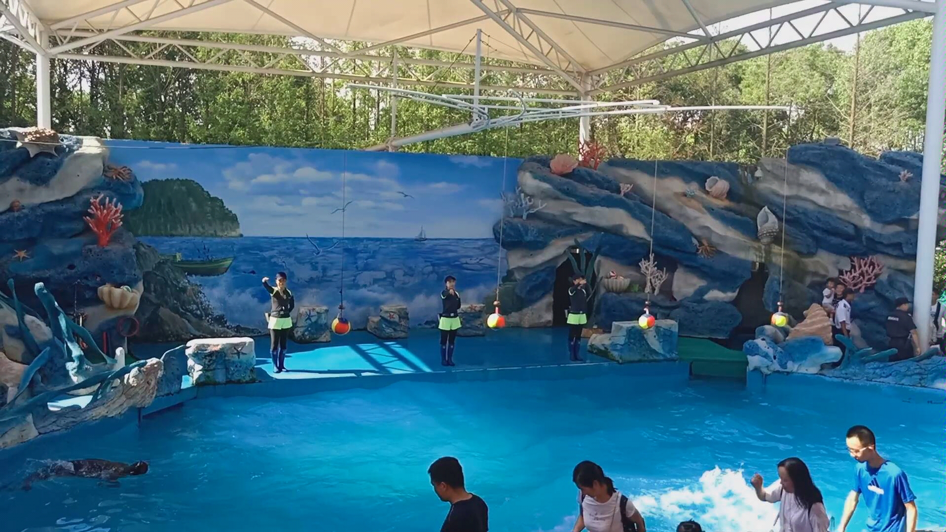 上海野生动物园 表演