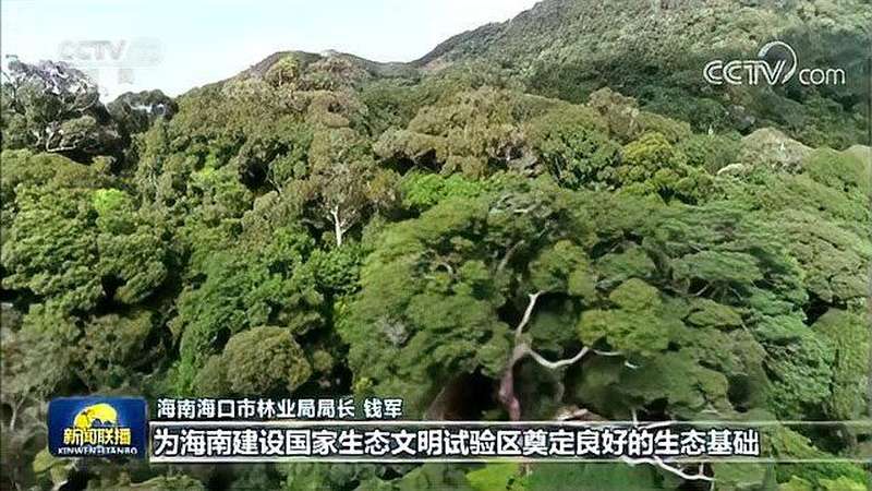 「开好局 起好步」推动绿色发展 促进人与自然和谐共生