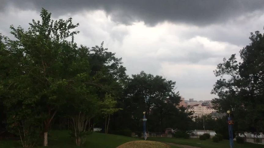 看天空风起云涌,公园内树枝摇动,暴雨即将来袭。