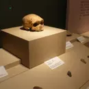 小妮妮趣谈历史 