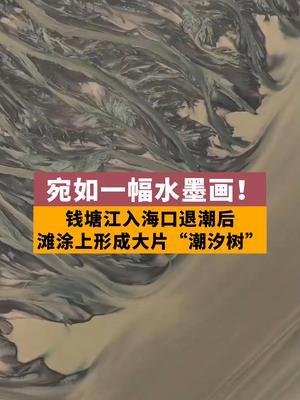 宛如一幅水墨画!钱塘江入海口退潮后 滩涂上形成大片"潮汐树"