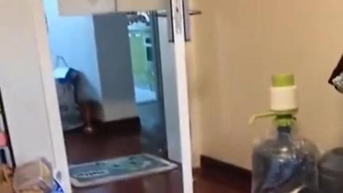 小猫咪第一次见到主人刮胡子,一脸诧异的眼神看着主人,样子真的可爱的!