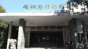 《北京动物园——两栖爬行动物馆》20190923