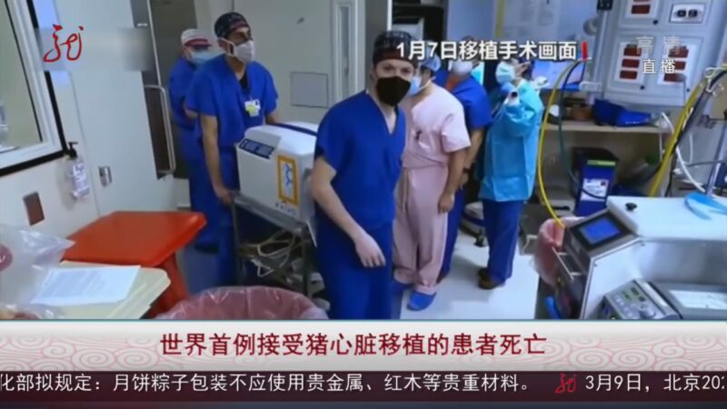[共度晨光]世界首例接受猪心脏移植的患者死亡