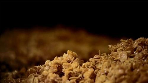 玉米仁身披黄金战甲在华贵转变,蜂蜜和糖浆加身升级玉米片!