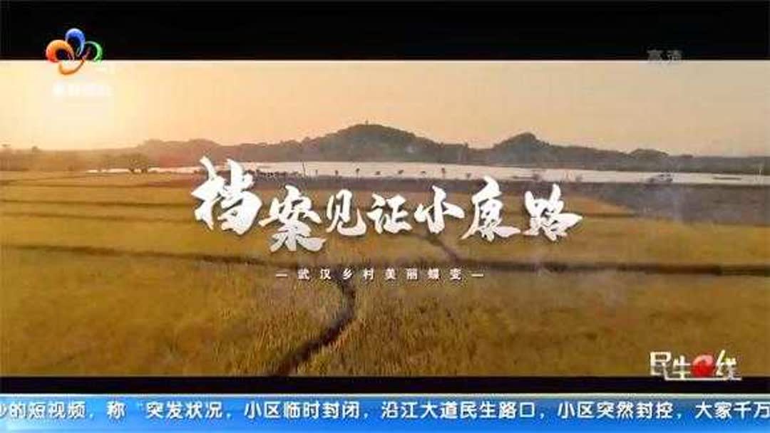 首部武汉乡村美丽蝶变纪录片收录城市档案