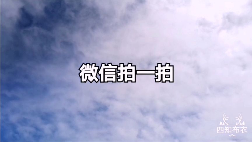 谁之前世有约定,今生《微信拍一拍 》