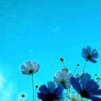 萱萱带你听音乐 