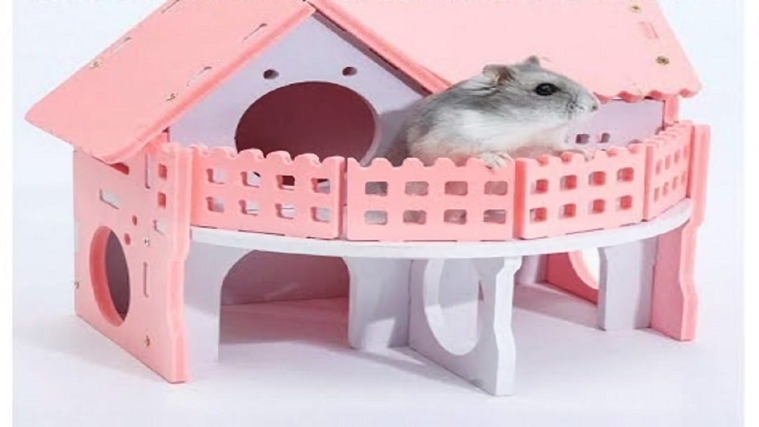 仓鼠宝宝:仓鼠的房子怎么做?简单步骤搭建仓鼠新家!