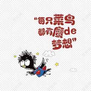 不放弃的菜鸟 