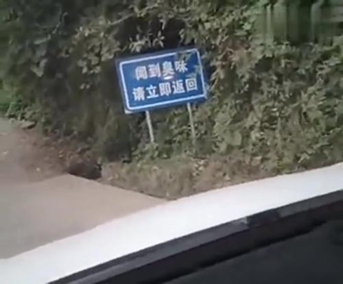 见过的最奇葩的警示牌,无法理解啊