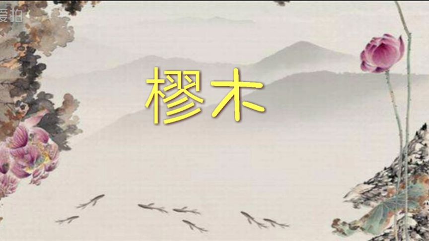 一日一首诗经之樛木