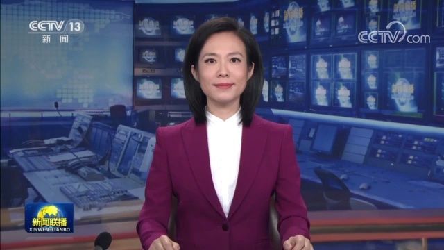 十四届全国人大一次会议主席团举行第四次会议