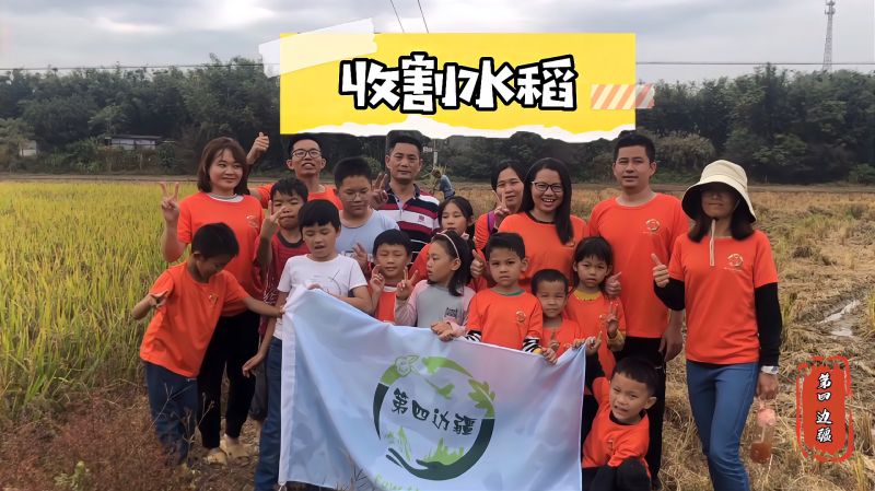 我种的水稻成熟了,带上父母回来收割,分享秋收的喜悦