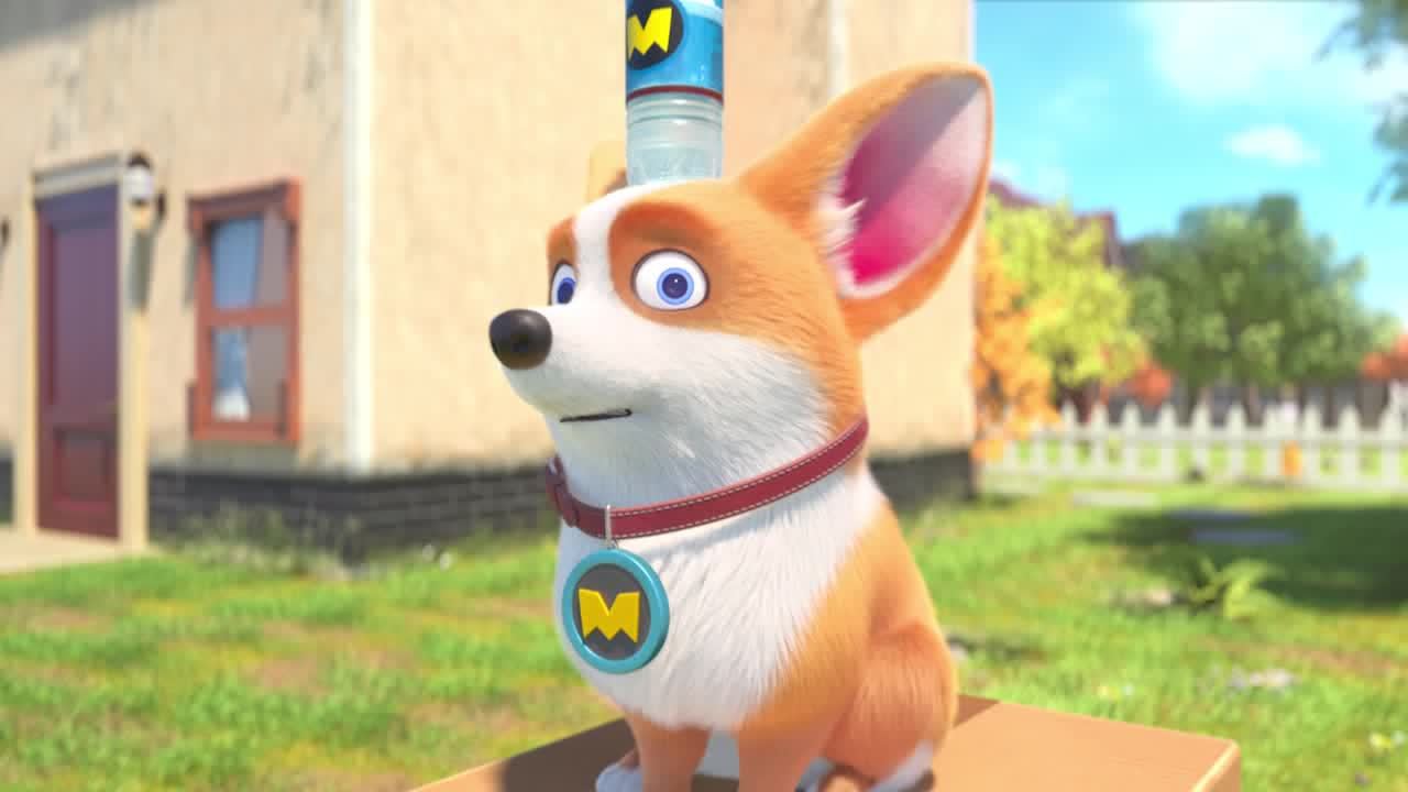 《飞狗MOCO》:主人,你这腿法真是了得啊