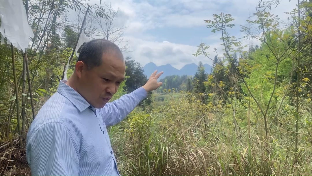 湖北一穴发科甲风水宝地,龙头葬满阴宅坟墓,好风水都被古人用了