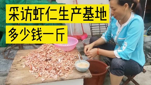 采访虾仁生产基地,煮熟,分类,剥开,晒干,多少钱一斤?
