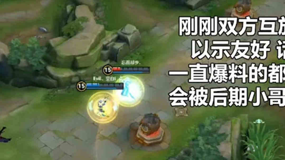 王者荣耀精彩搞笑视频 这两个诸葛亮谁更秀?