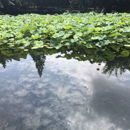 阳光系语 