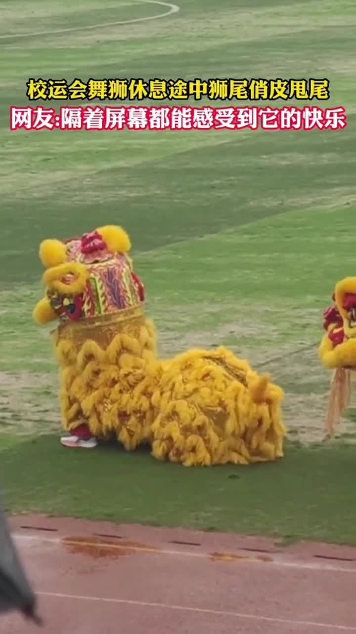 太可爱了!校运会舞狮休息途中,狮尾俏皮甩尾萌翻众人。