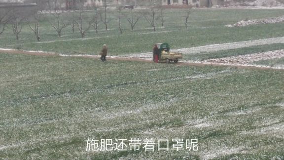 河南商丘农村:早上美女推开门发现这一幕,去看看什么情况?