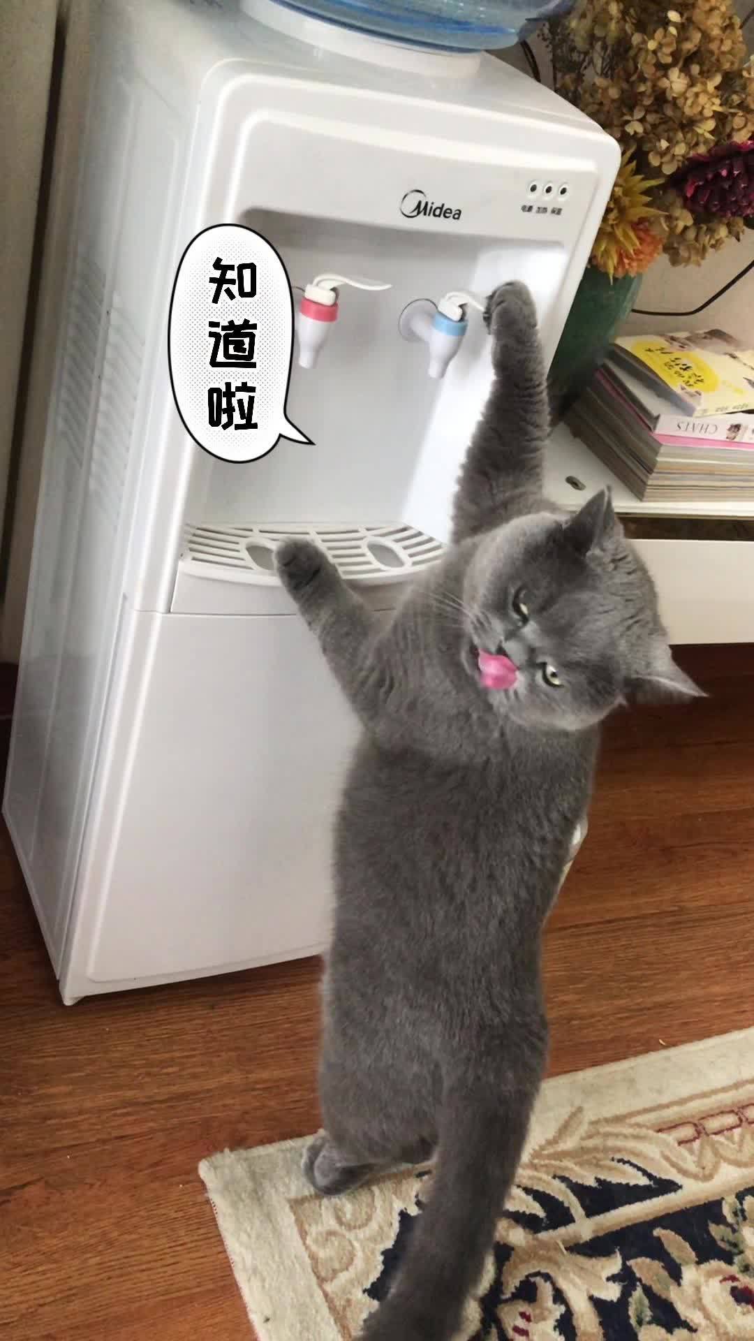 用水大户也要节约用水