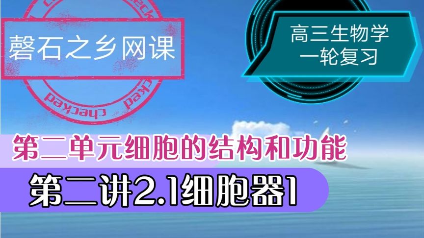 2.1细胞器一系统内分工合作知识梳理高三生物一轮复习