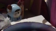 介绍500多张的叶罗丽卡片