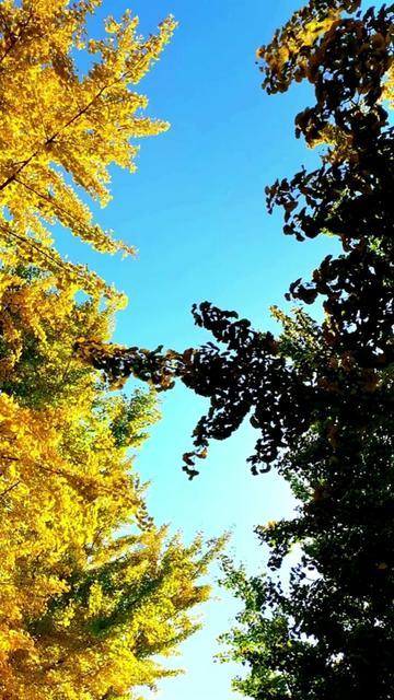 北京自驾游爱分享 请多关注点赞!