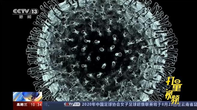 日内瓦:世卫组织新冠肺炎疫情例行发布会|新闻直播间