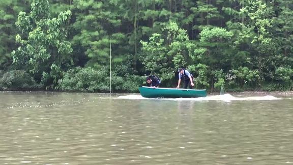 划船不用桨,全靠浪! #独木舟 #上海 #上海上海上海上海