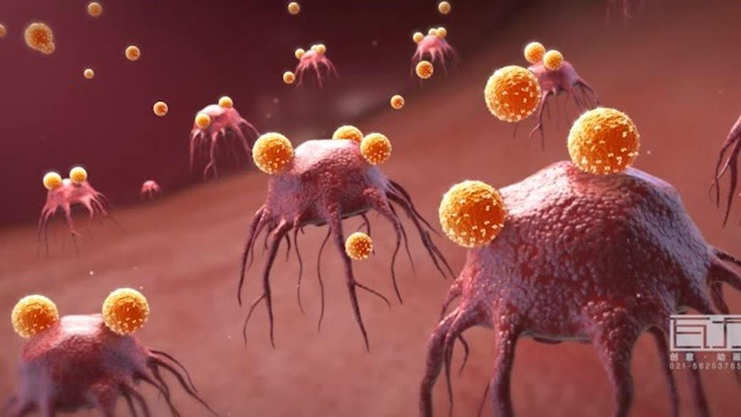 上海瓦力动漫-细胞动画-生物动画-创意动画-三维动画制作