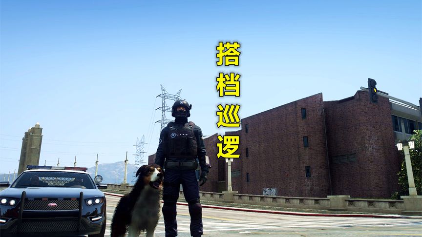 日常警察模拟器 和我的搭档巡逻 发现了一个鬼鬼祟祟的人