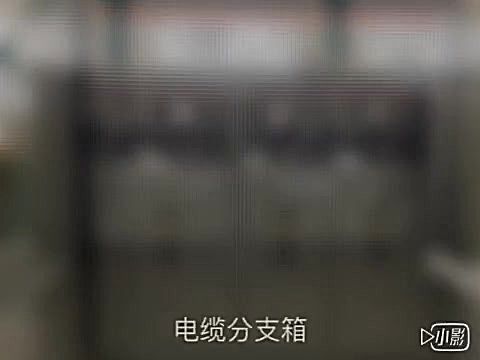 DFW-12电缆分支箱/力阳/出口产品图集