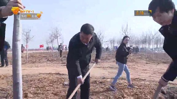 我市举行植树节义务植树活动