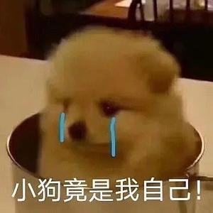 我知道你锁定我了 