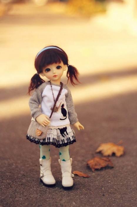 深情不及久相伴 