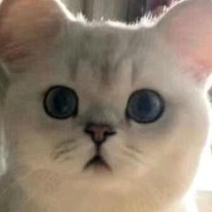 打小就大聪明 