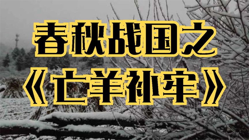 春秋战国之《亡羊补牢》