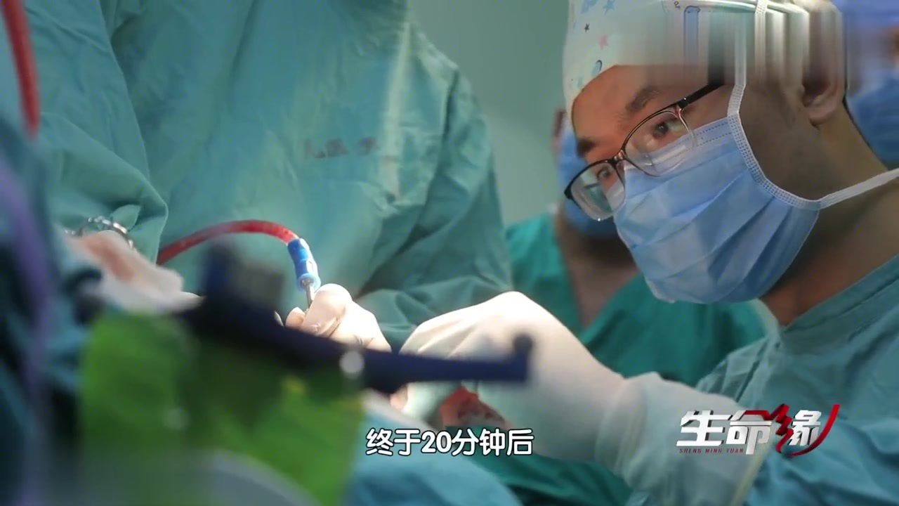 葛主任要在显微镜放大10倍的视野下精细操作,每一步都小心翼翼的