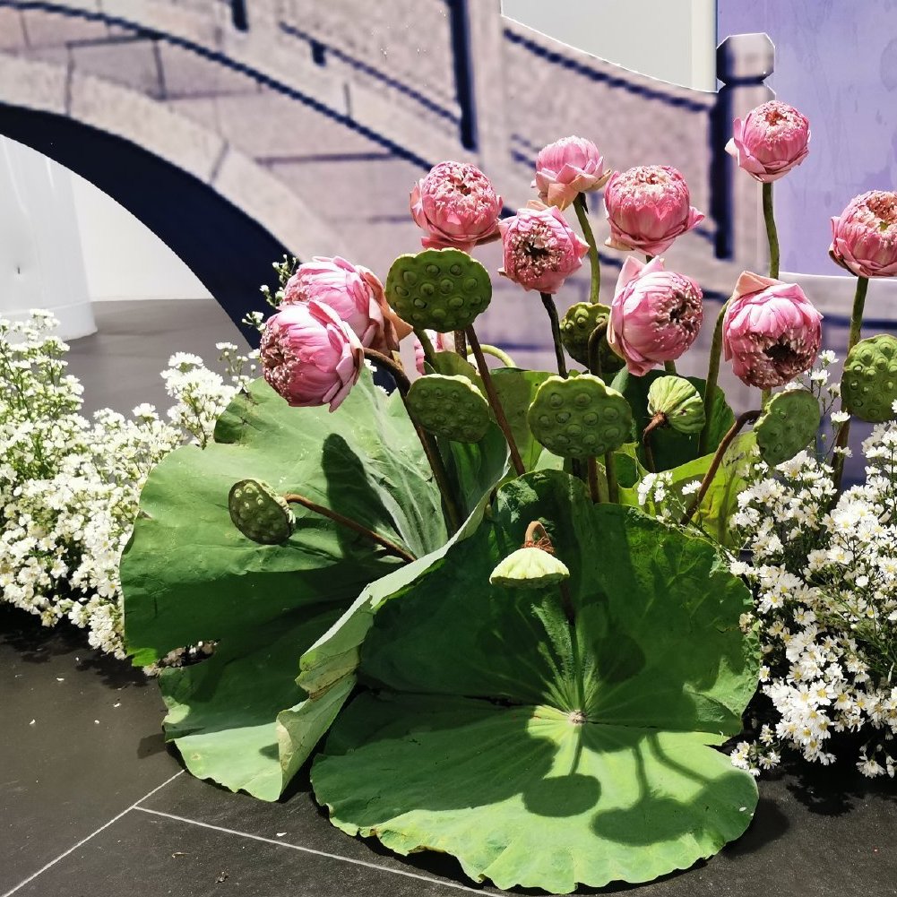 集课郝老师数学 